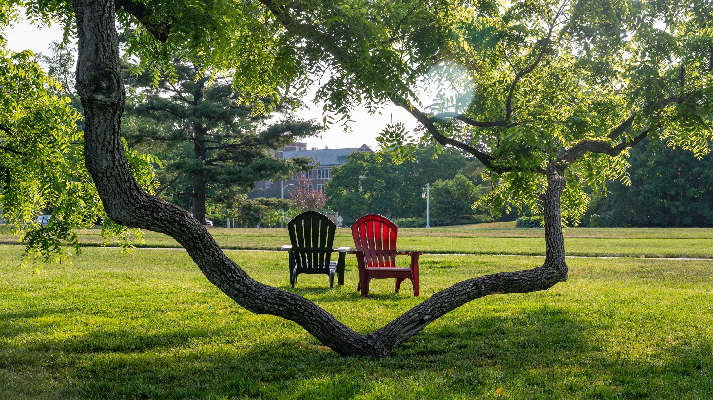 The week in photos | MSUToday | Michigan State University The week in photos | MSUToday | Michigan State University