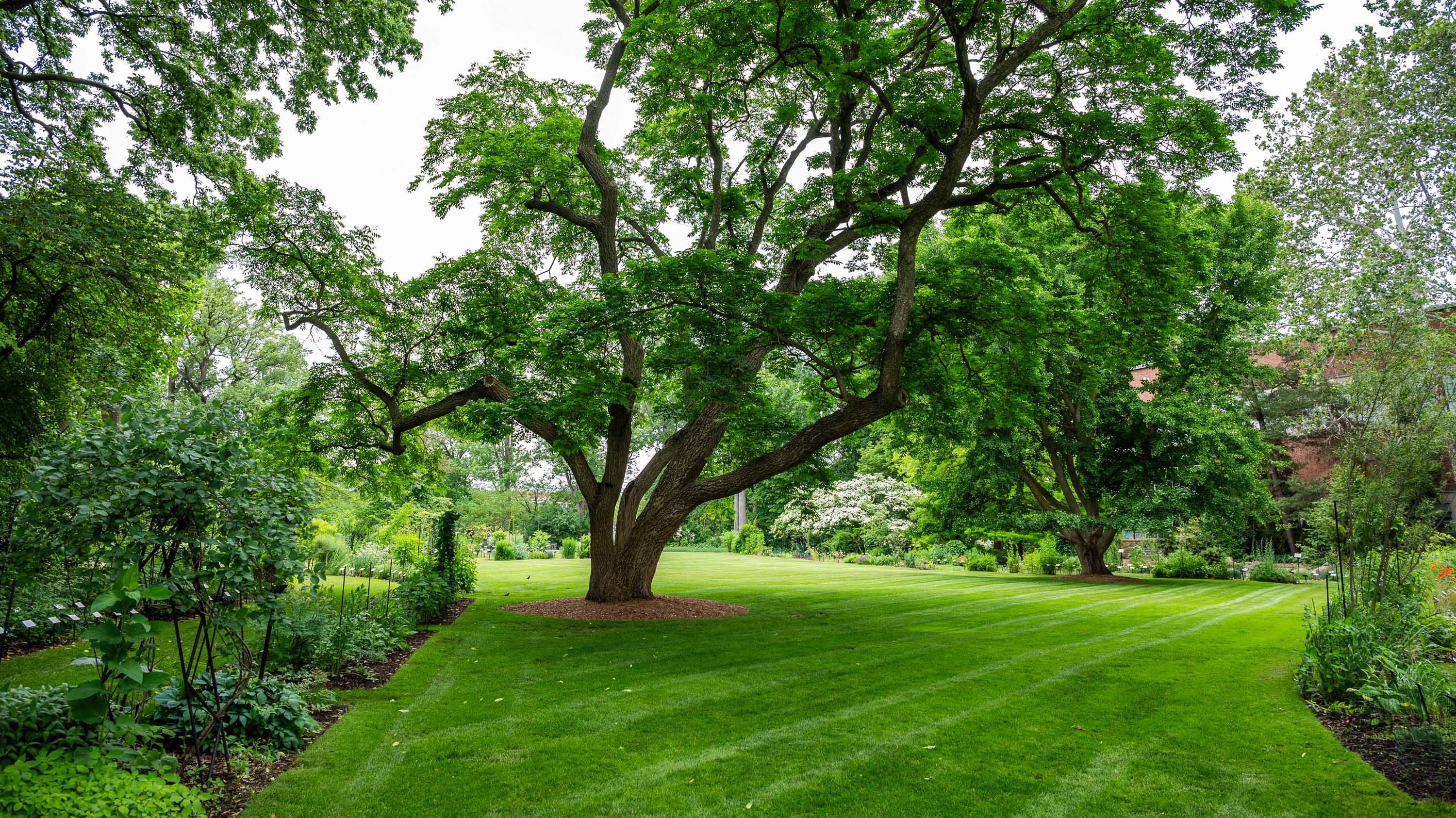 The week in photos: 150 years of the Beal Botanical Garden | MSUToday ... The week in photos: 150 years of the Beal Botanical Garden | MSUToday ...