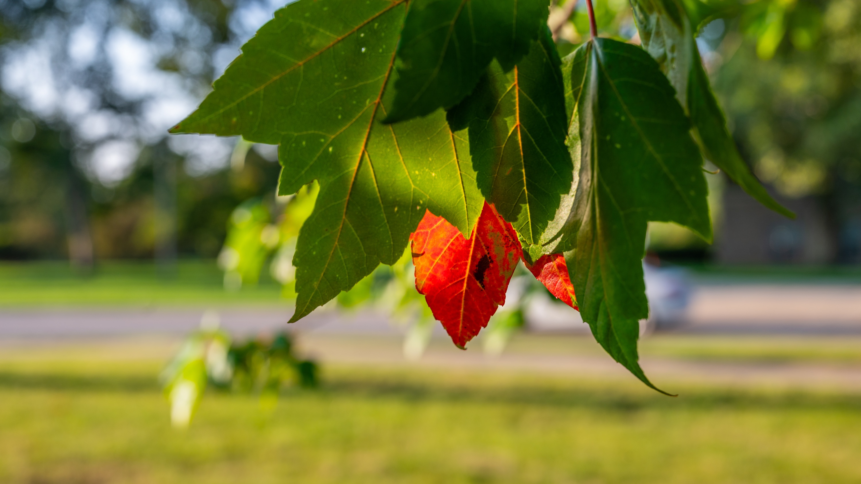 The week in photos | MSUToday | Michigan State University The week in photos | MSUToday | Michigan State University