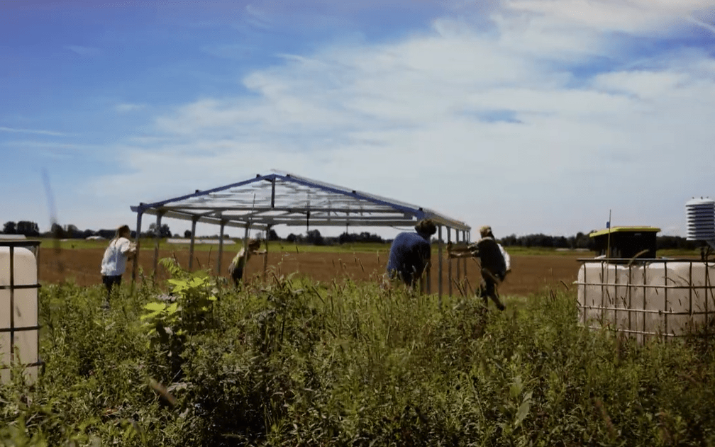 MSU researchers receive $750K grant to study soil health amid changing ... MSU researchers receive $750K grant to study soil health amid changing ...